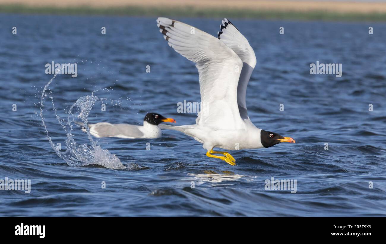 Unesco heritage delta hi-res stock photography and images - Alamy