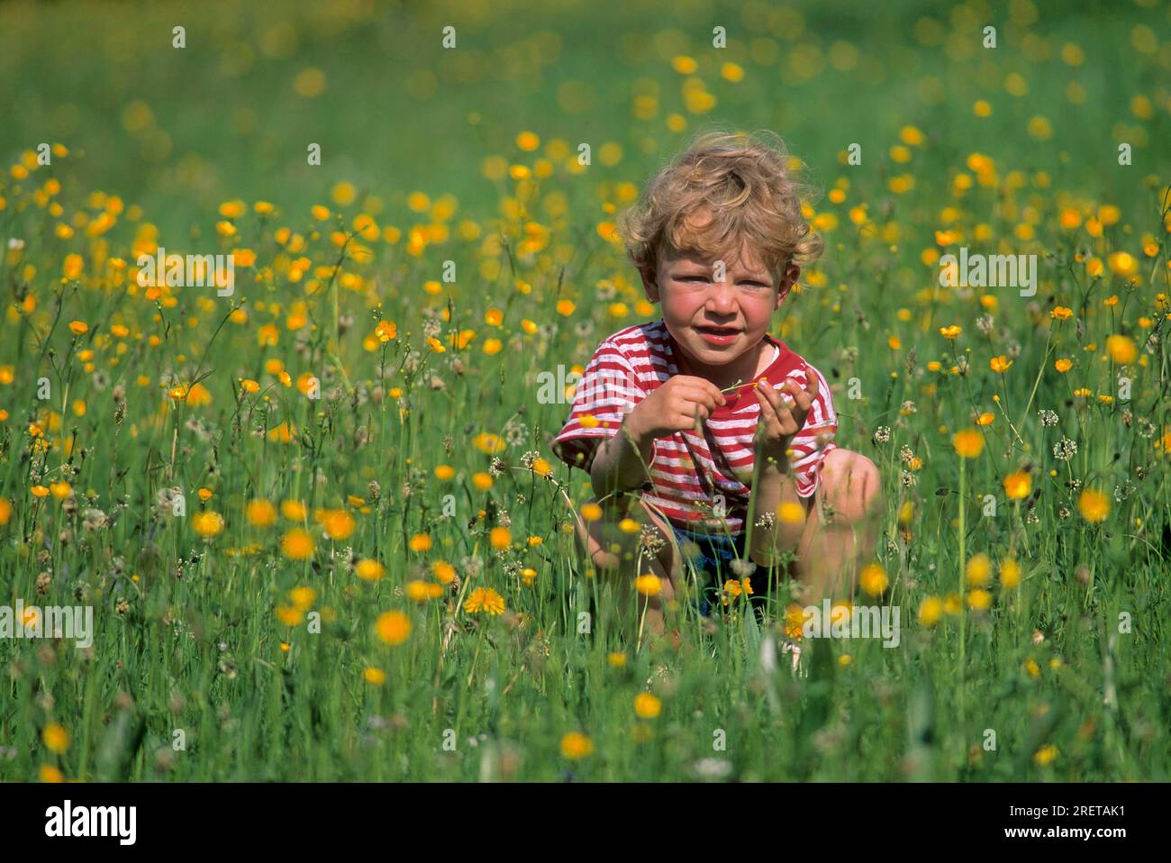 Boy in spring meadow Stock Photo - Alamy