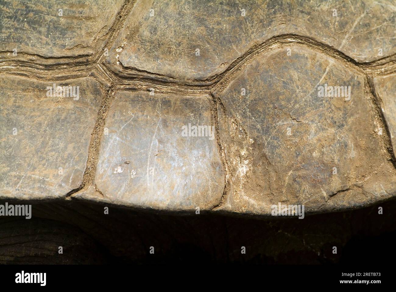 American armor hi-res stock photography and images - Alamy