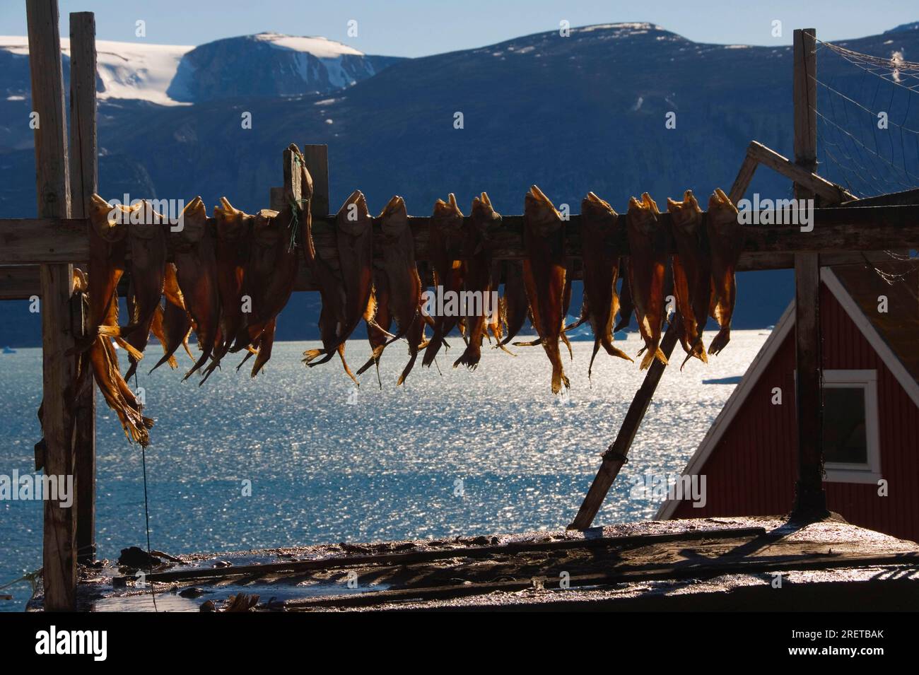 Fish hung to dry on fish rack, Uummannaq, Greenland Stock Photo - Alamy