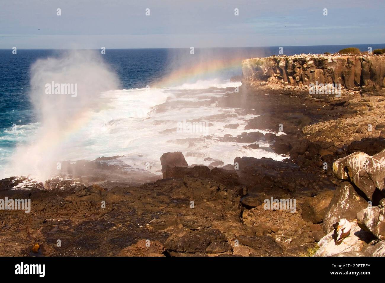 Blowhole, Punta Suarez, Espanola Island, Galapagos Islands, Ecuador ...