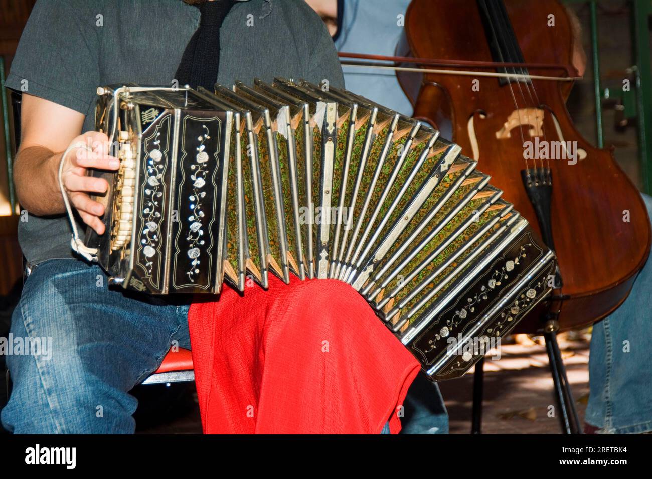 Musician with accordion, make music, instrument, flea market Feria de ...