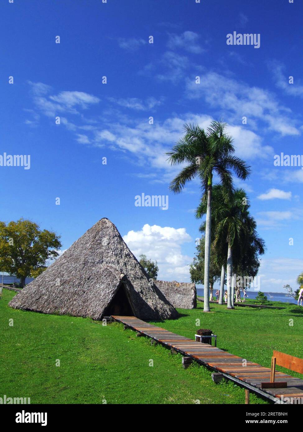 Guama inga edulis hi-res stock photography and images - Alamy