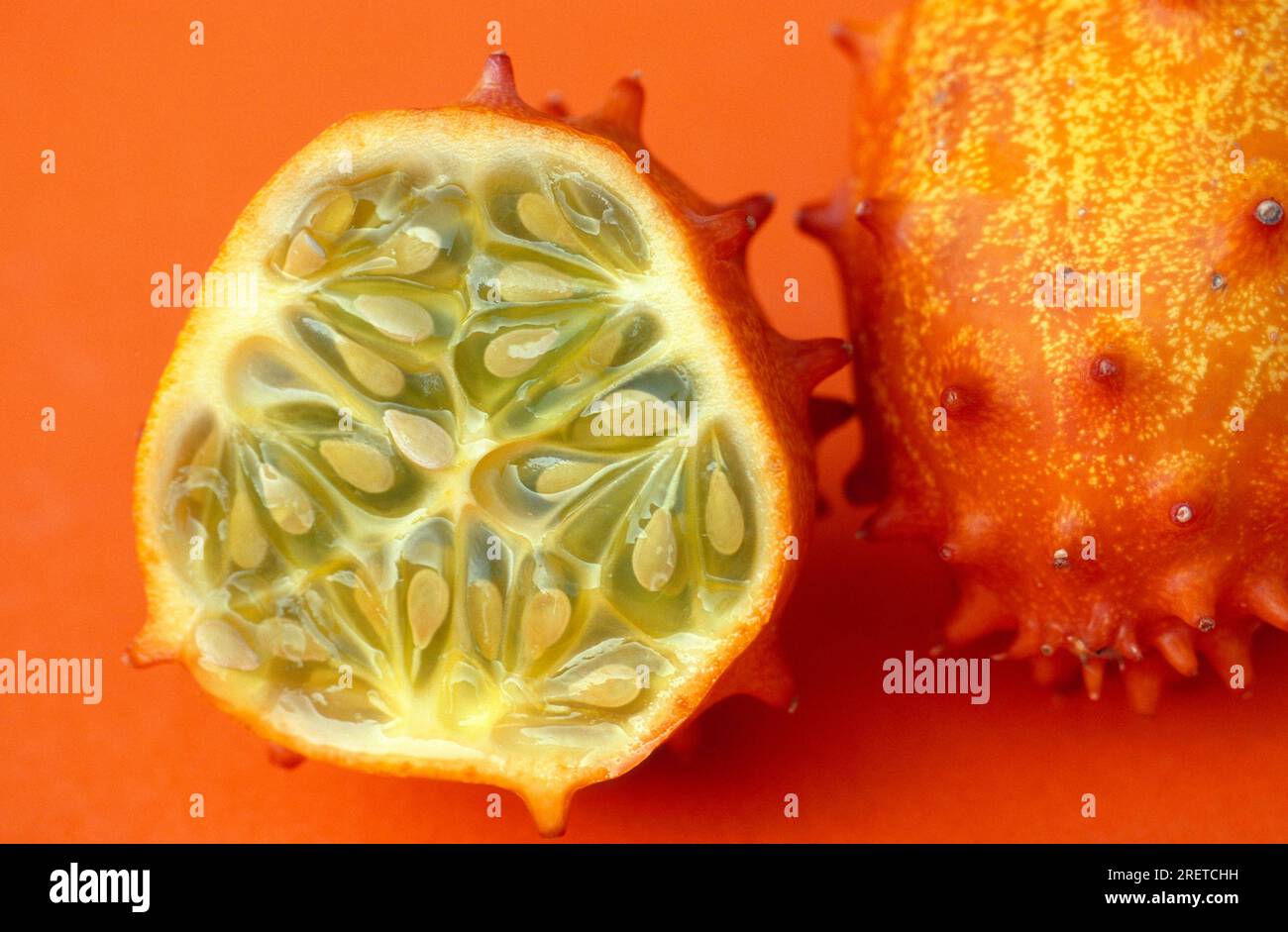 Horned pickle, prickly pickle, jelly pickle, Horned Melon (Cucumis ...