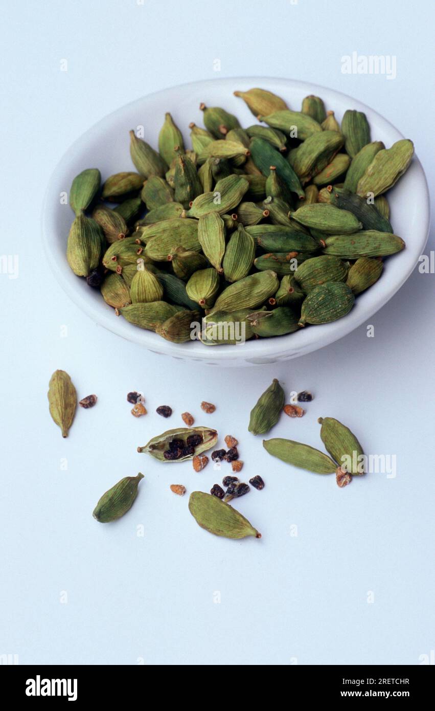 Cardamom (Elettaria cardamomum) in shell, seed capsules, seed capsule ...