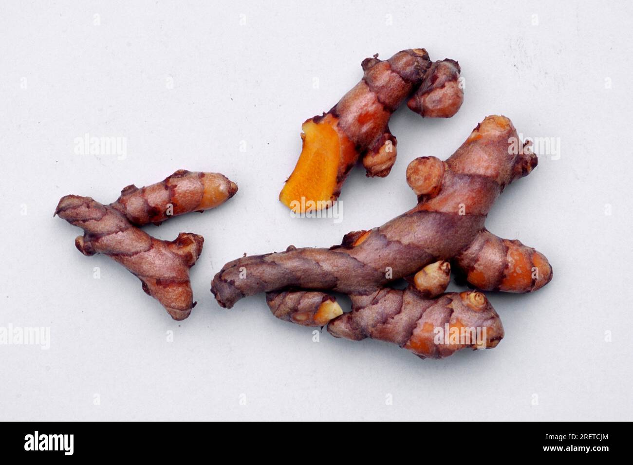 Turmeric (Curcuma longa) turmeric, turmeric root Stock Photo - Alamy