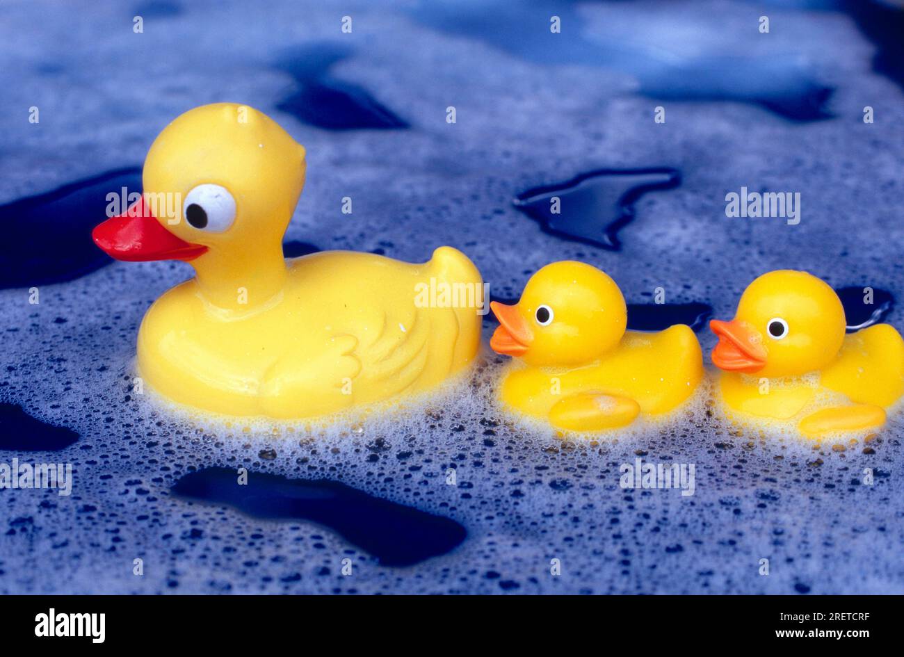 Rubber duck, rubber duck, toy duck, plastic duck, toys, rubber duck ...