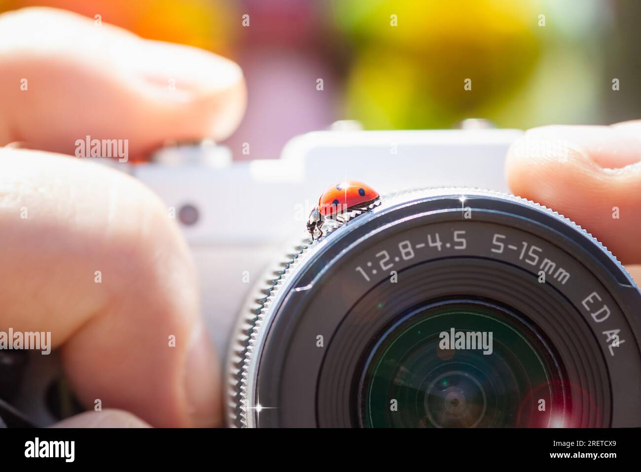 Hand lens insect hi-res stock photography and images - Alamy