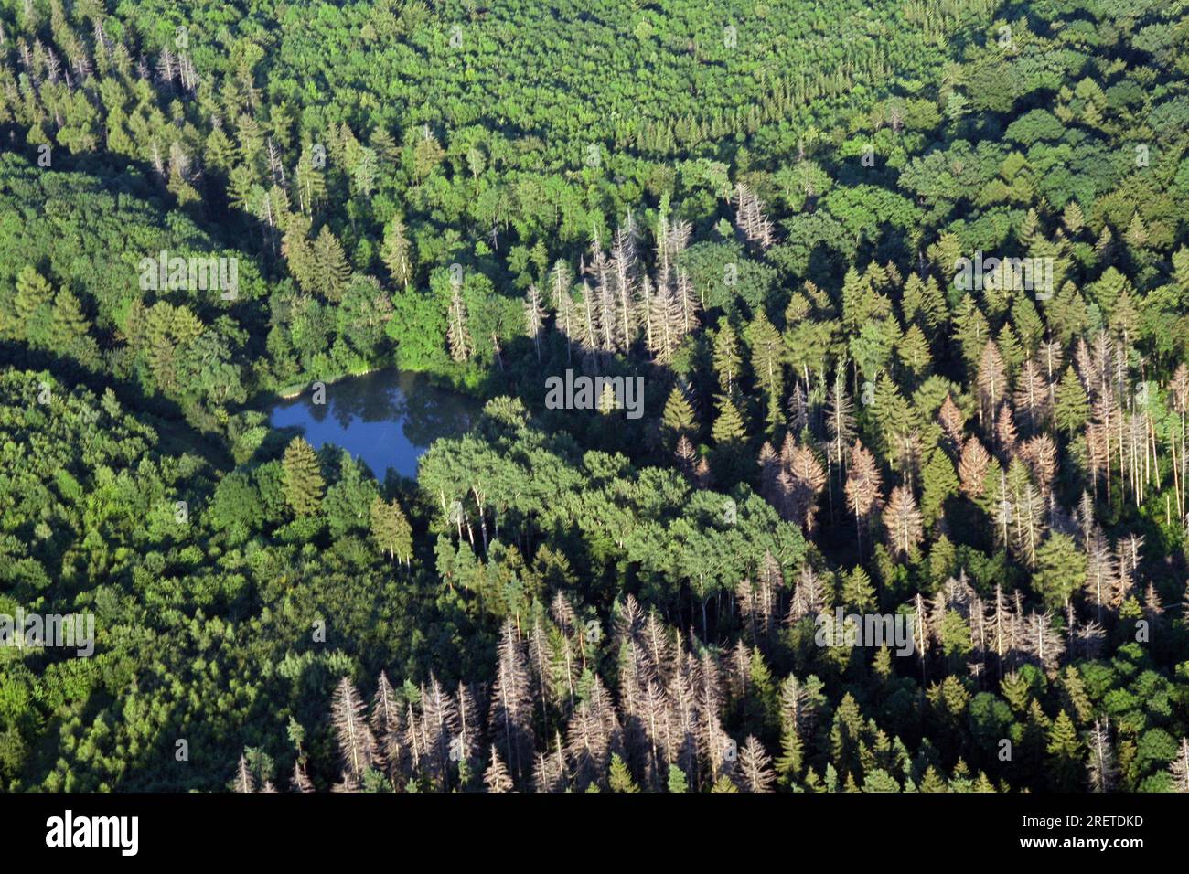 Aerial germany hainich national park hi-res stock photography and ...