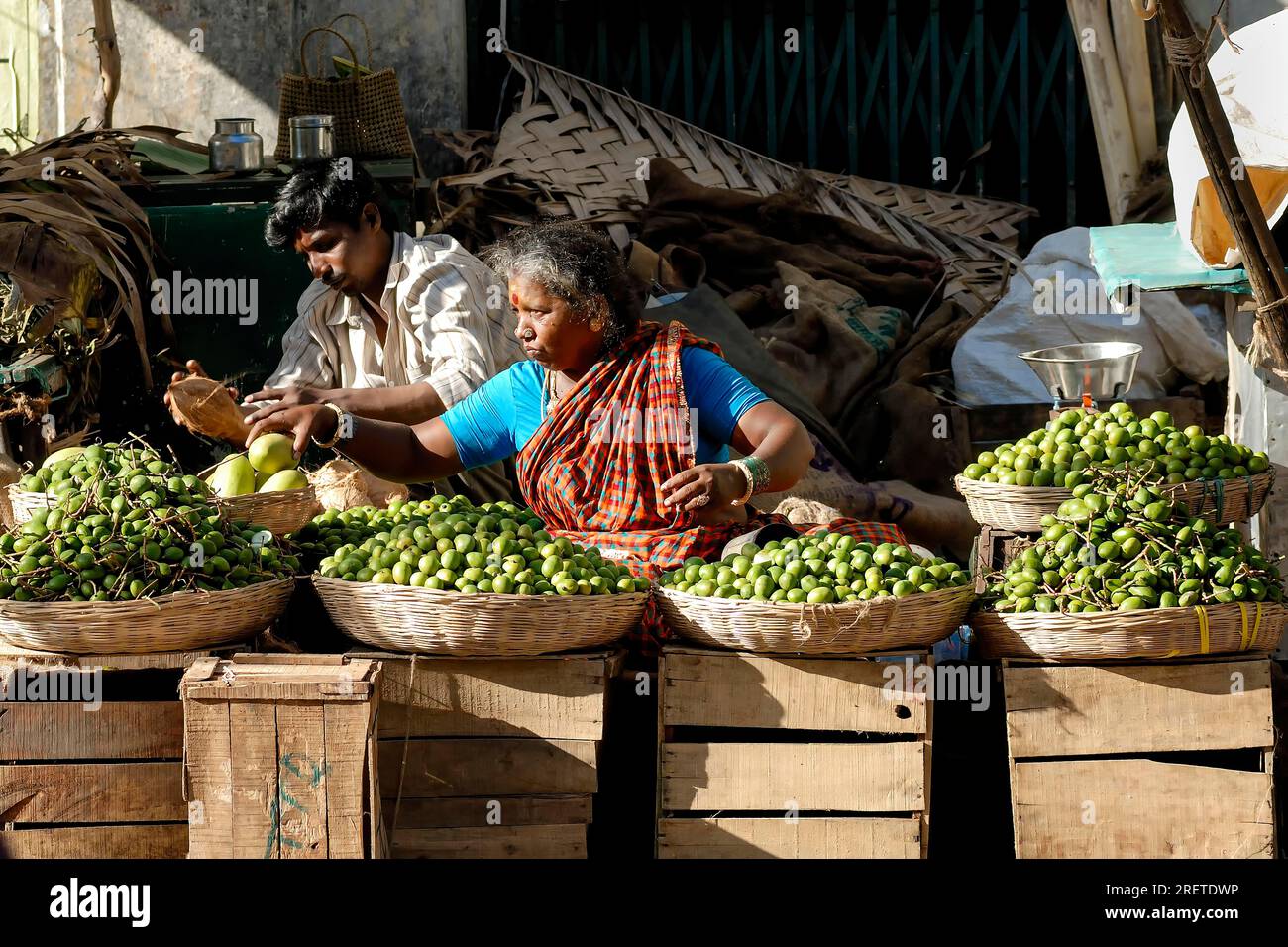 A woman selling pickle mangoes in Mylapore, Chennai, Tamil Nadu, India ...