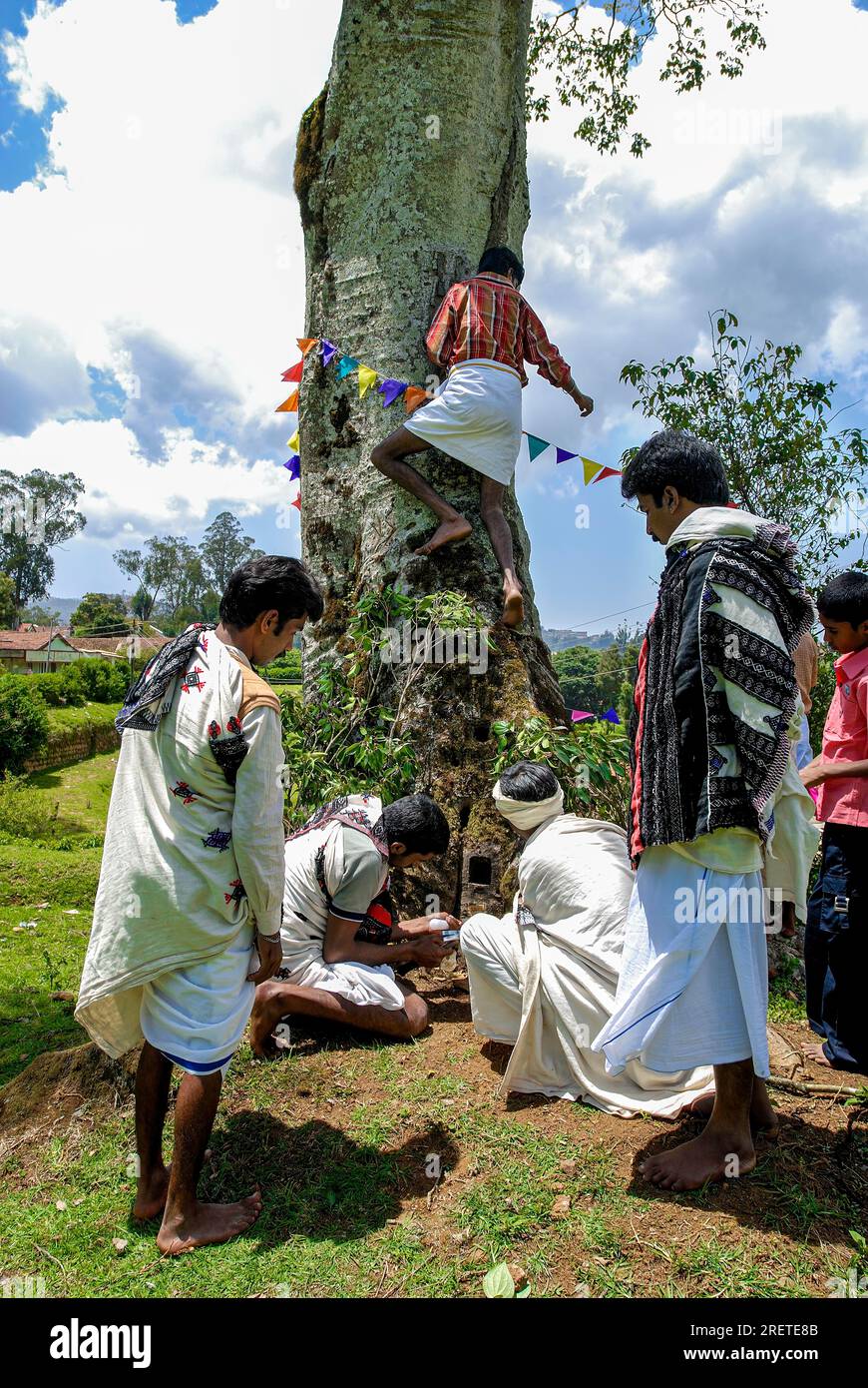 Toda Marriage, Nilgiris, Ooty Udhagamandalam, Tamil Nadu, South India ...