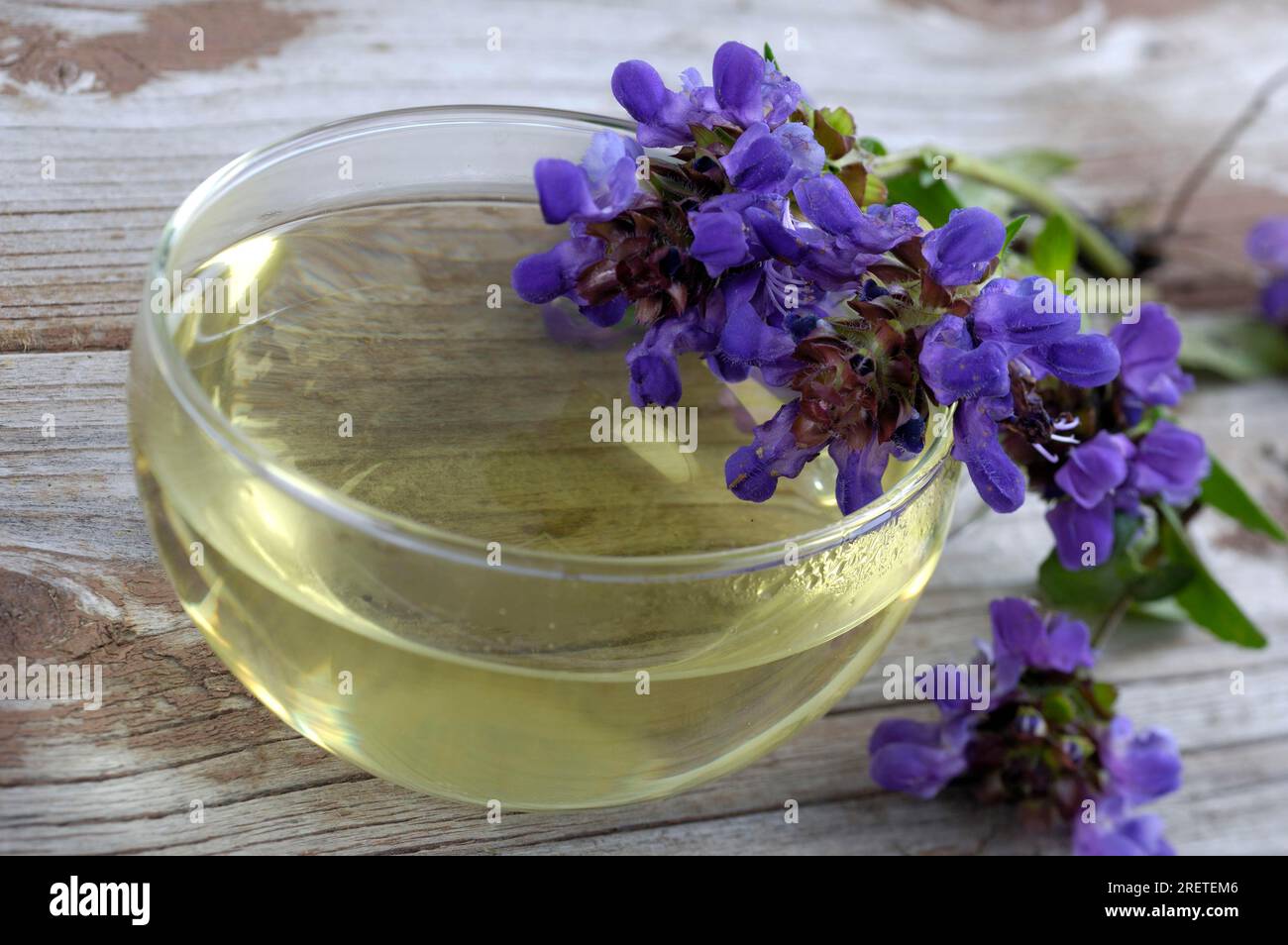 Prunella vulgaris tea hi-res stock photography and images - Alamy