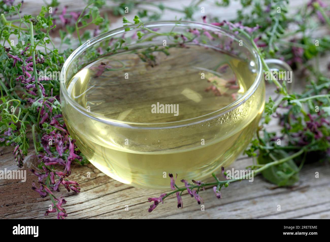 Cup of common fumitory tea hi-res stock photography and images - Alamy