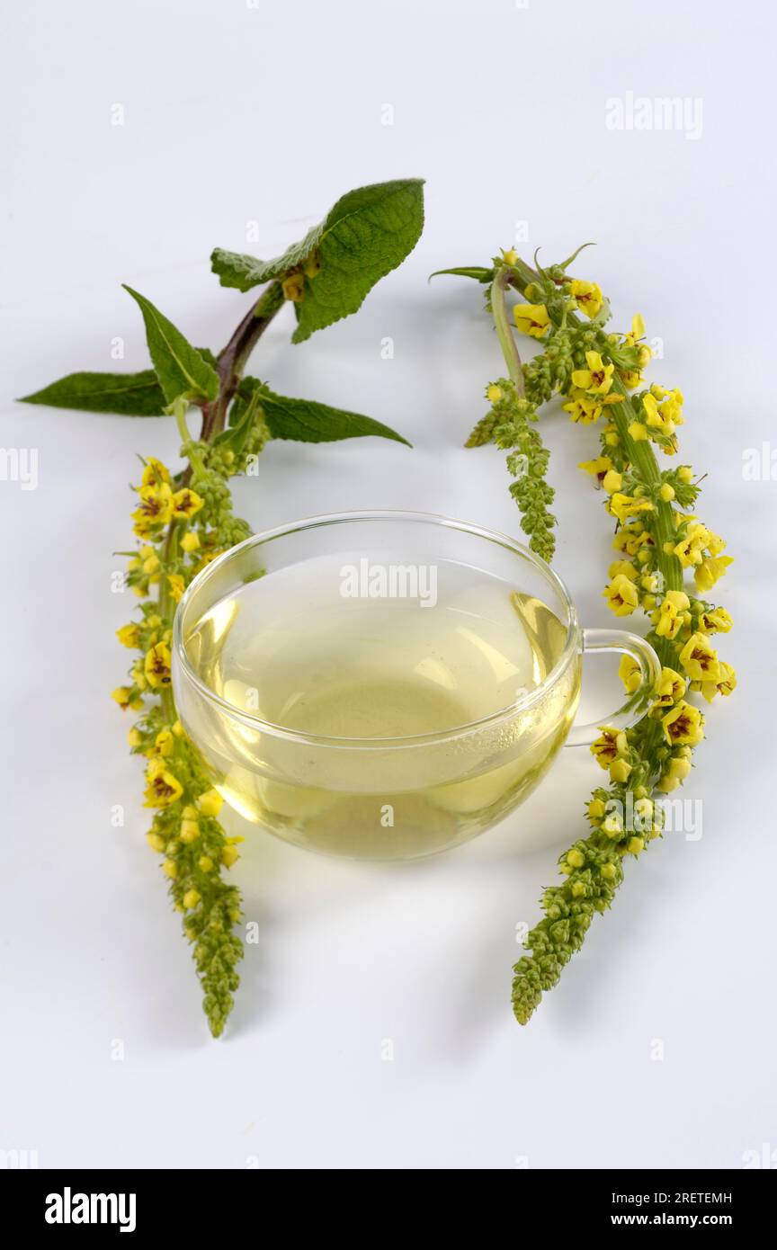 Royal candle tea hi-res stock photography and images - Alamy