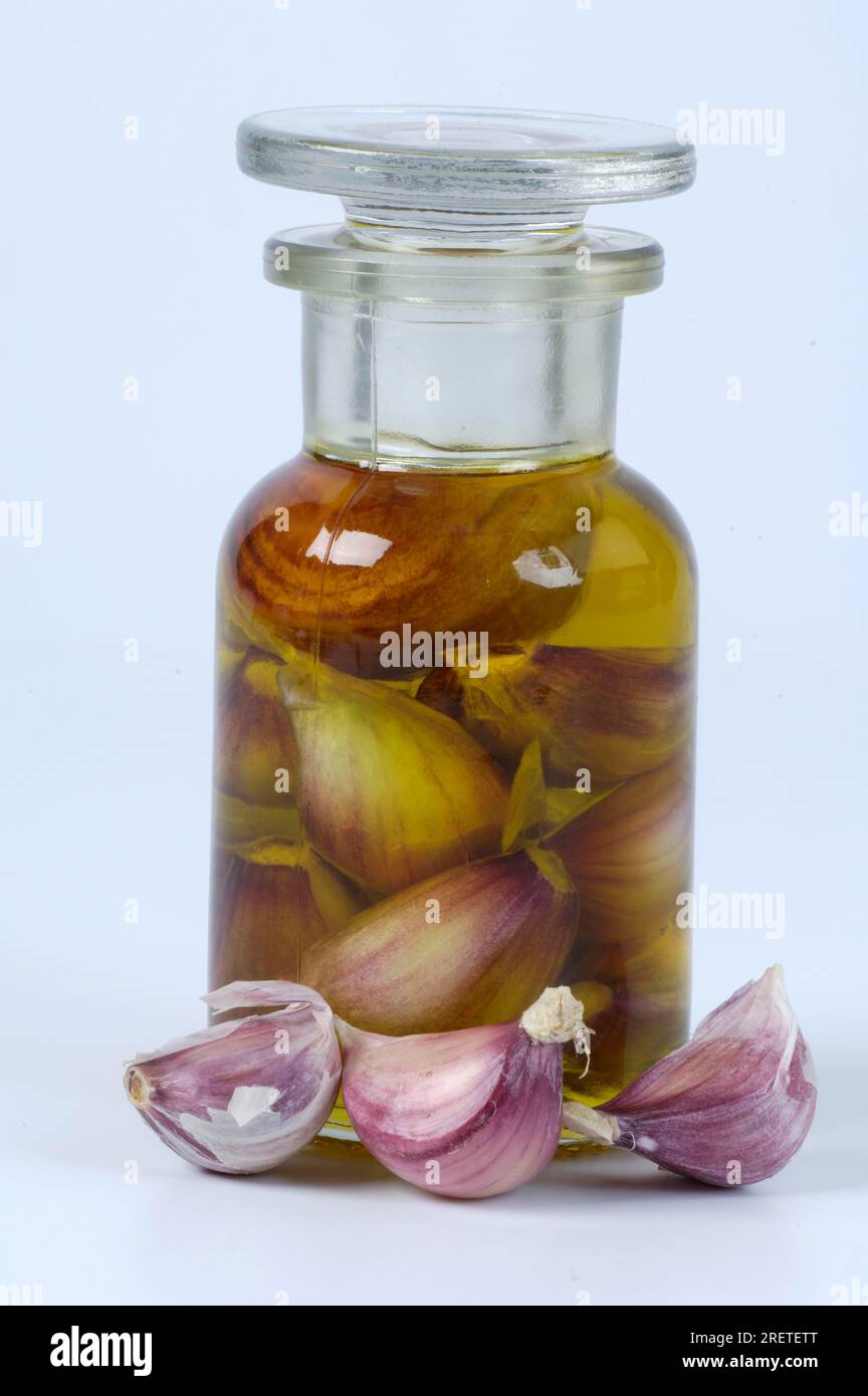 Garlic (Allium sativum) in olive oil Stock Photo - Alamy