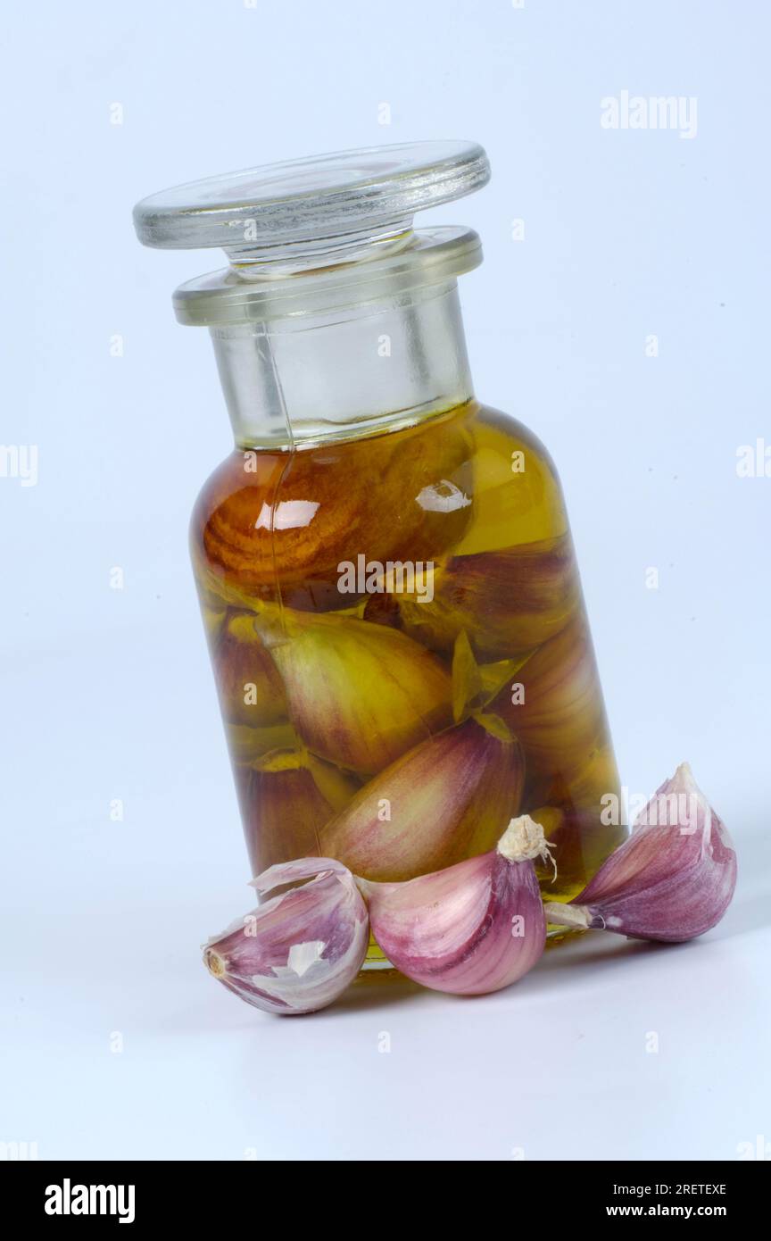 Garlic (Allium sativum) in olive oil Stock Photo - Alamy