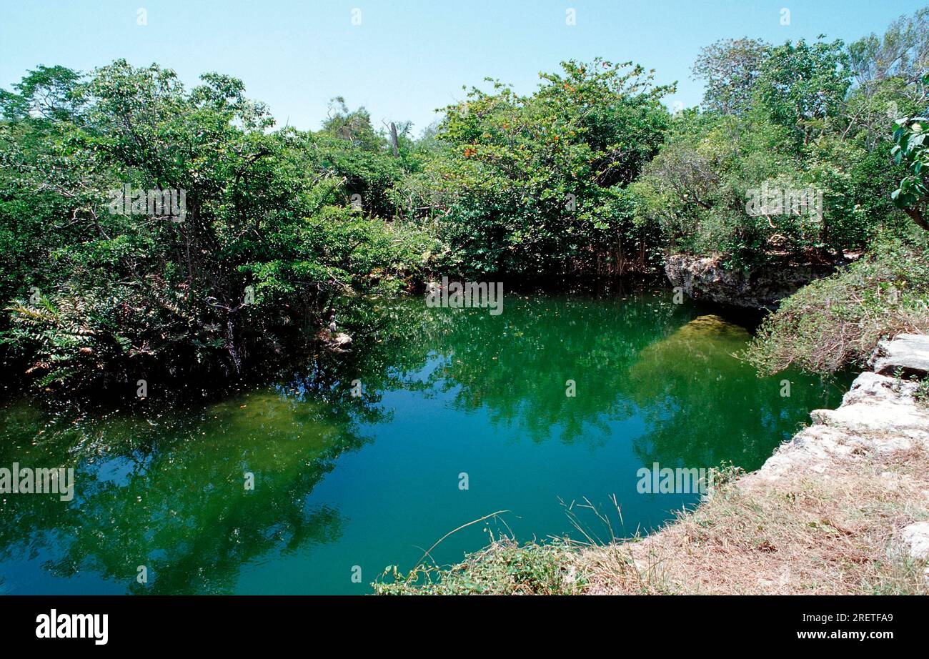 Laguna Pepe Underwater Cave, Punta Cana, Underwater Cave, Dominican ...