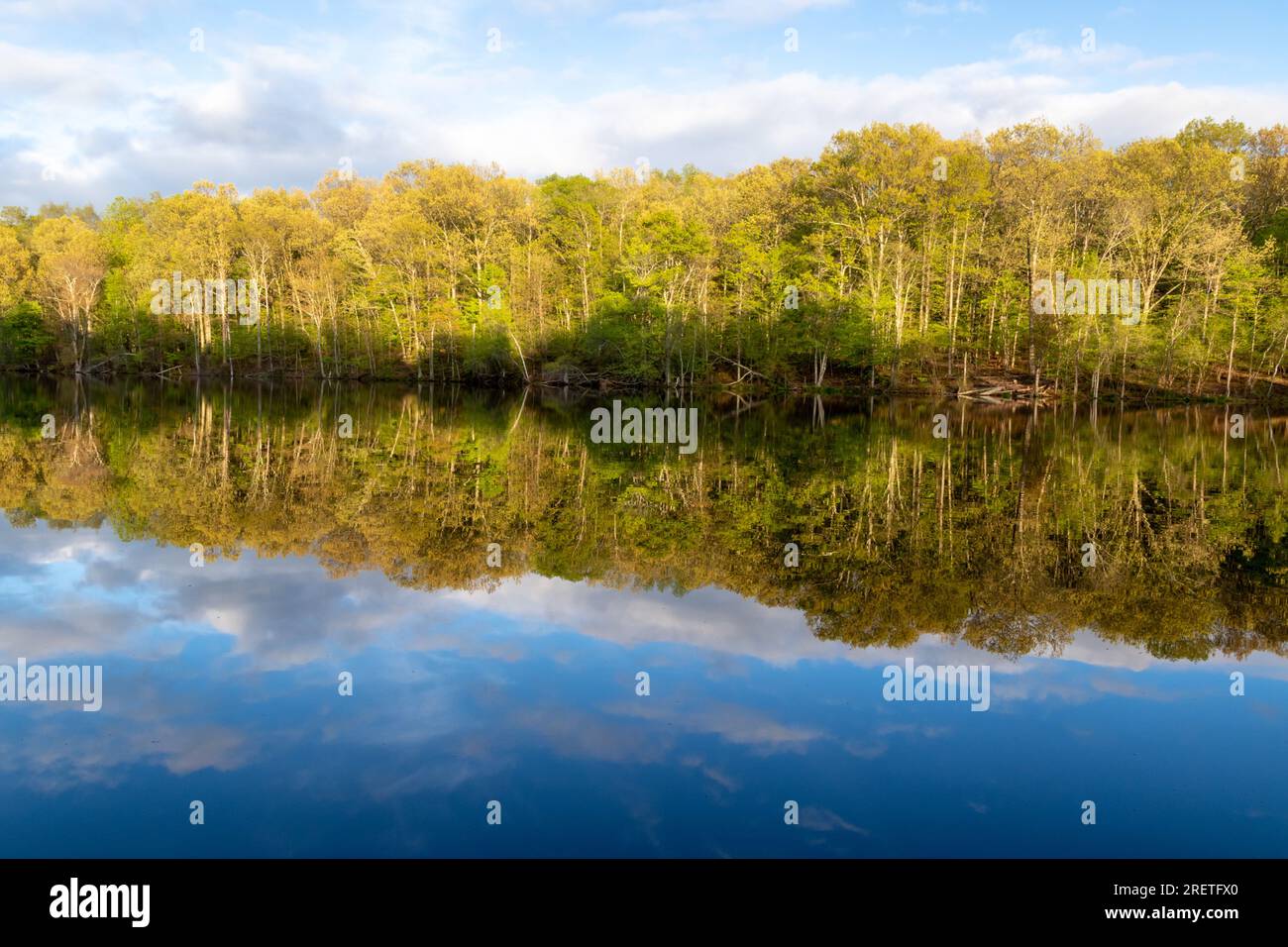 Trees with green leaves are the sky are reflected in a lake at Highland ...