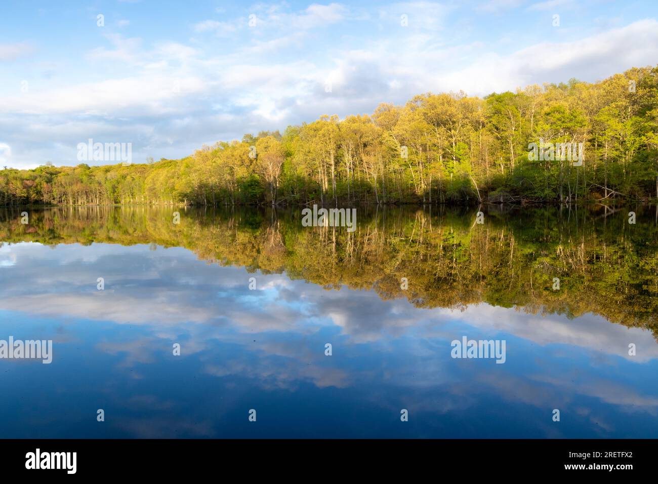 Trees with green leaves are the sky are reflected in a lake at Highland ...
