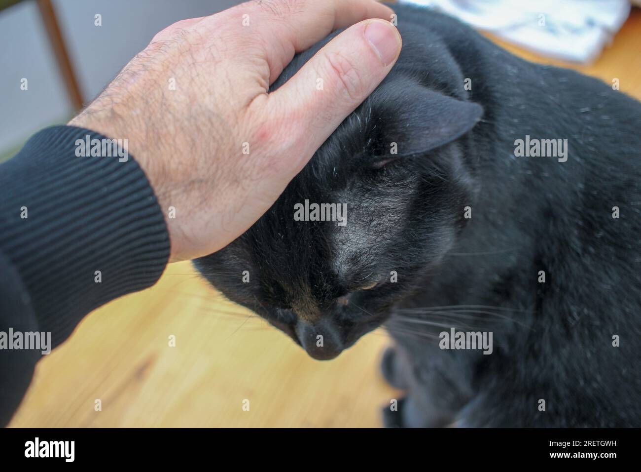 How happy could i hi-res stock photography and images - Alamy