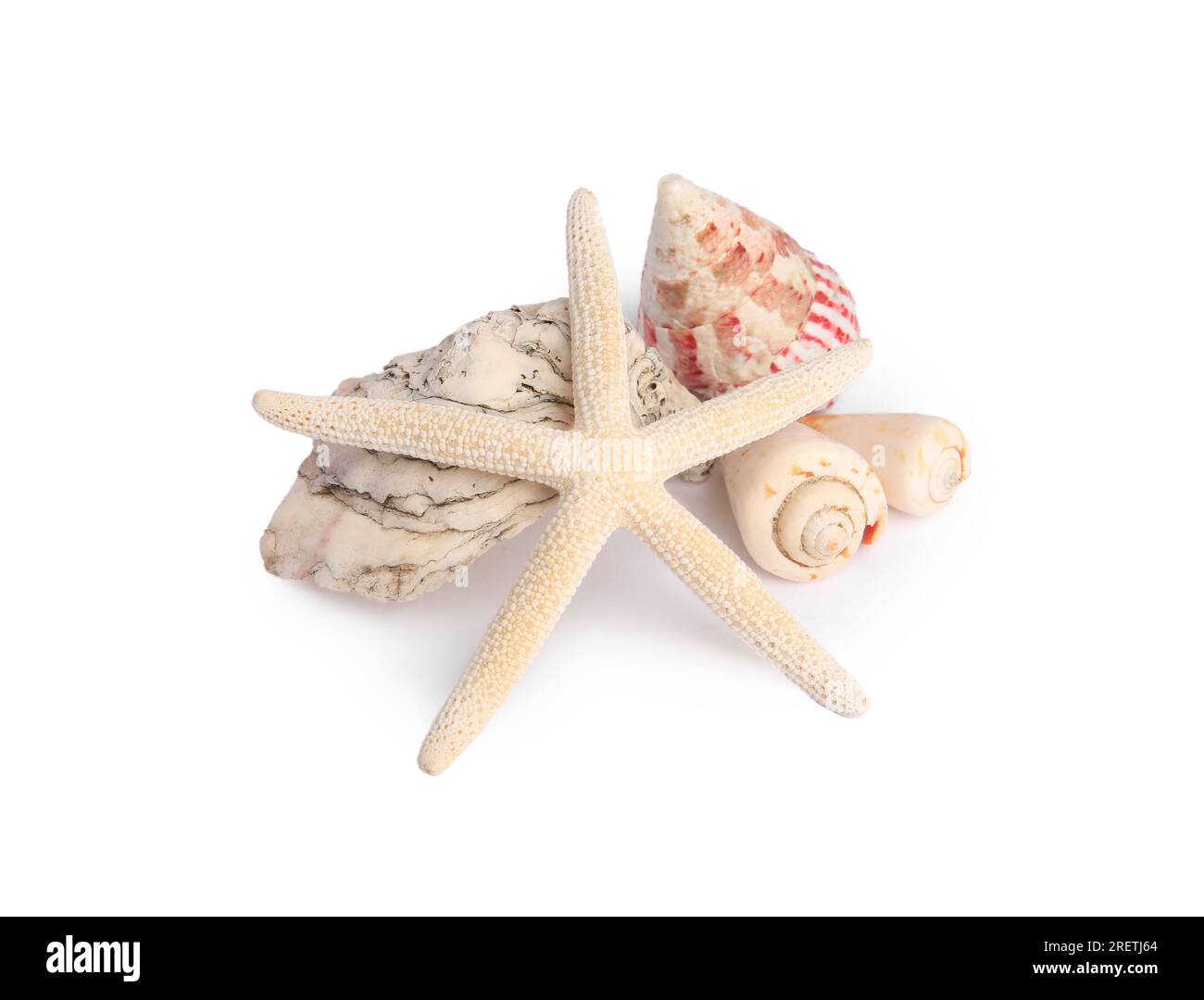 Beautiful sea star and shells isolated on white Stock Photo - Alamy