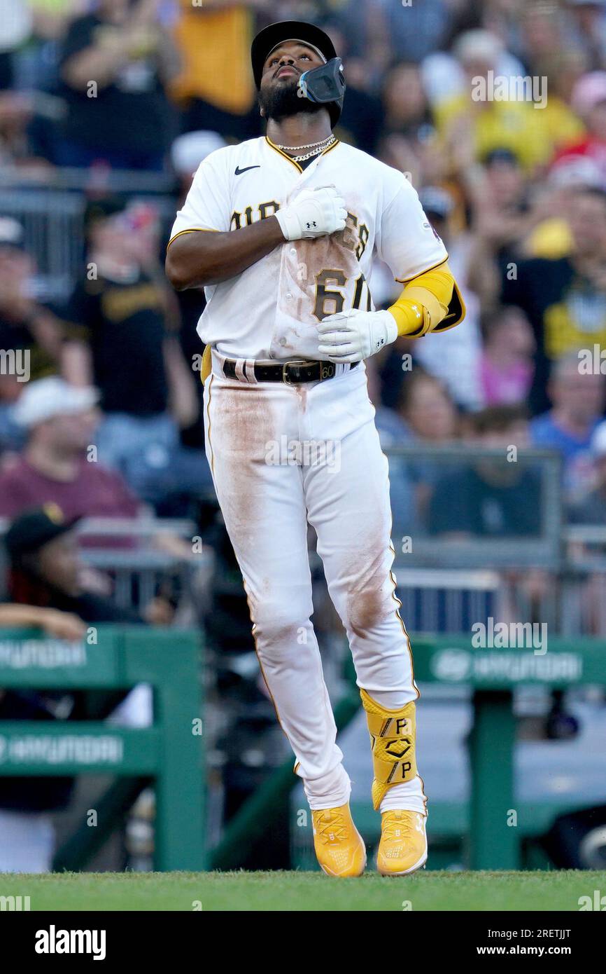 Pittsburgh Pirates' Liover Peguero reacts after hitting a home run ...