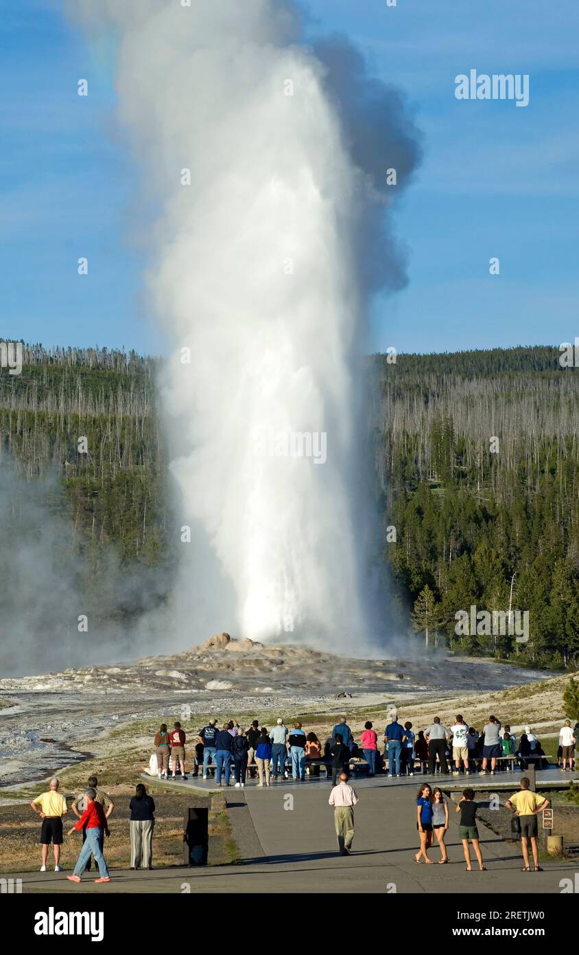 Visitors watching the Old Faithful Geyser erupting at Yellowstone ...