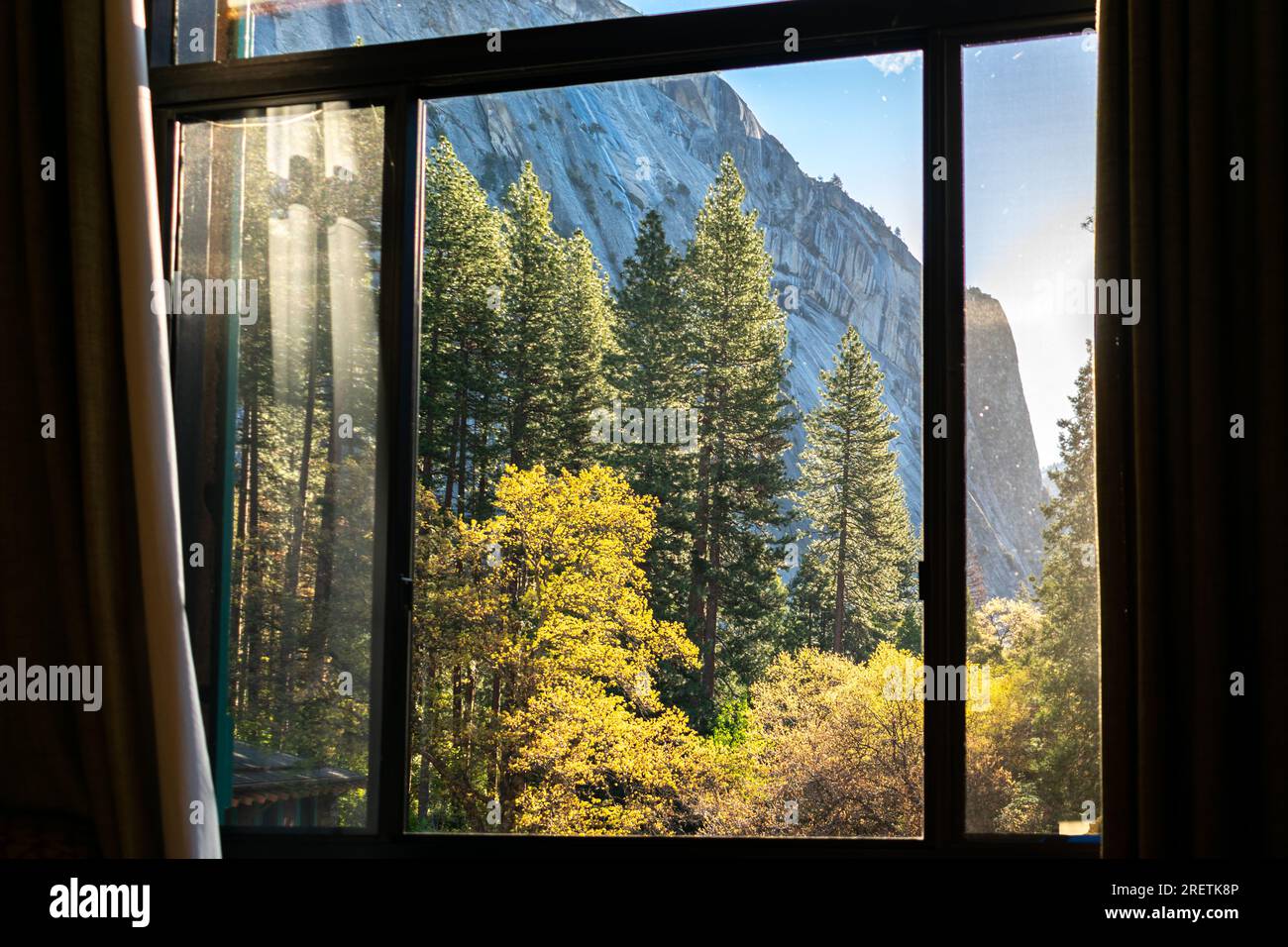 Room with a majestic Yosemite view, framed by pine trees and granite ...