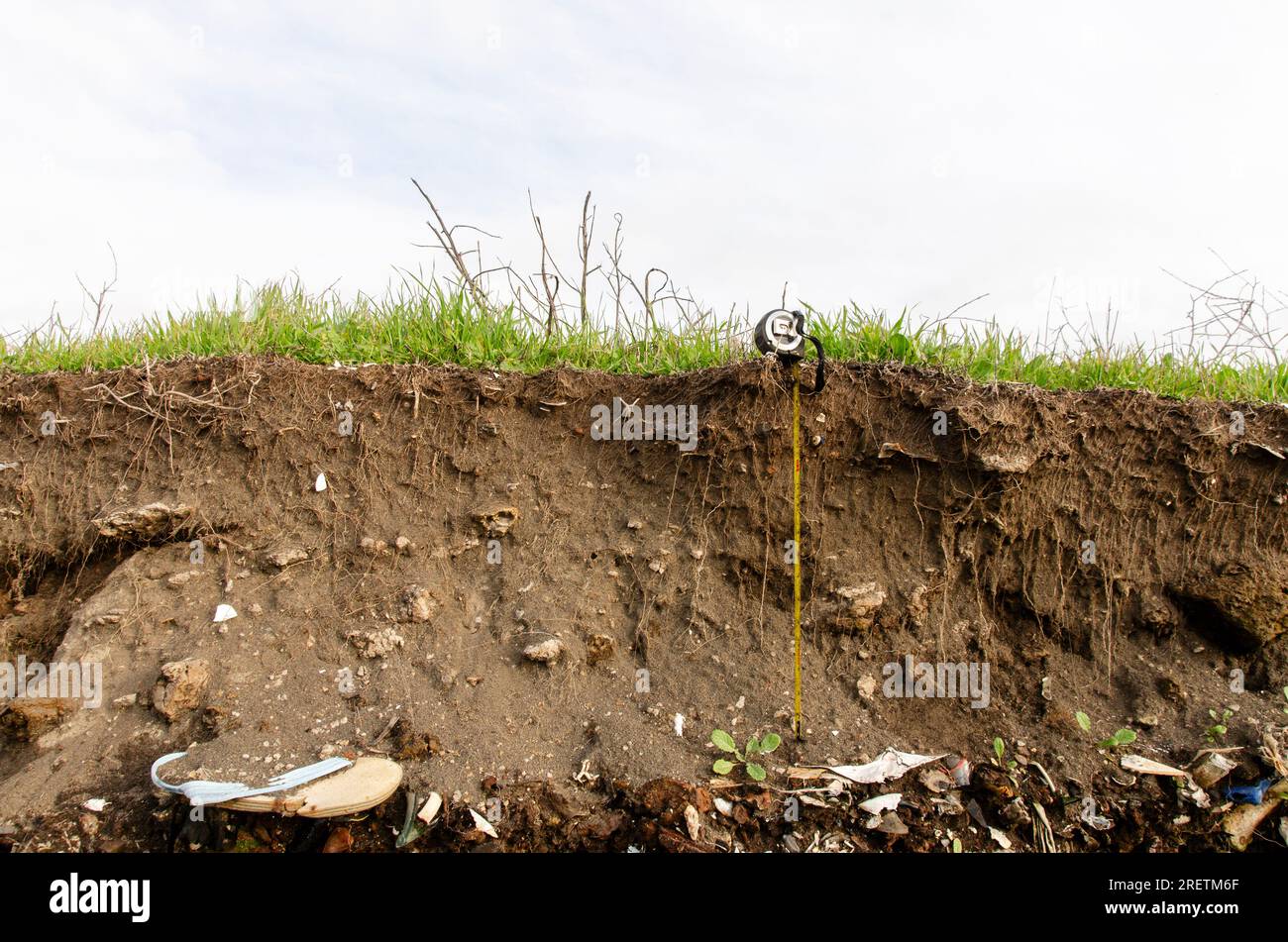 sediments deposited by the February 27th tsunami occurred in Rocuant ...