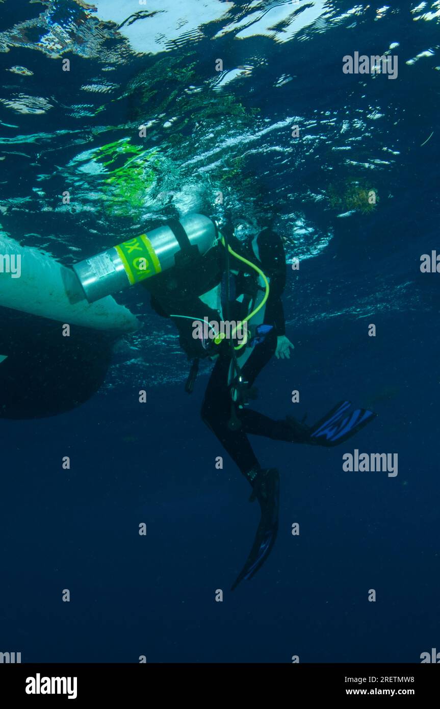 Diver taking off equipment at the end of dive by tender, Cape Kri dive ...
