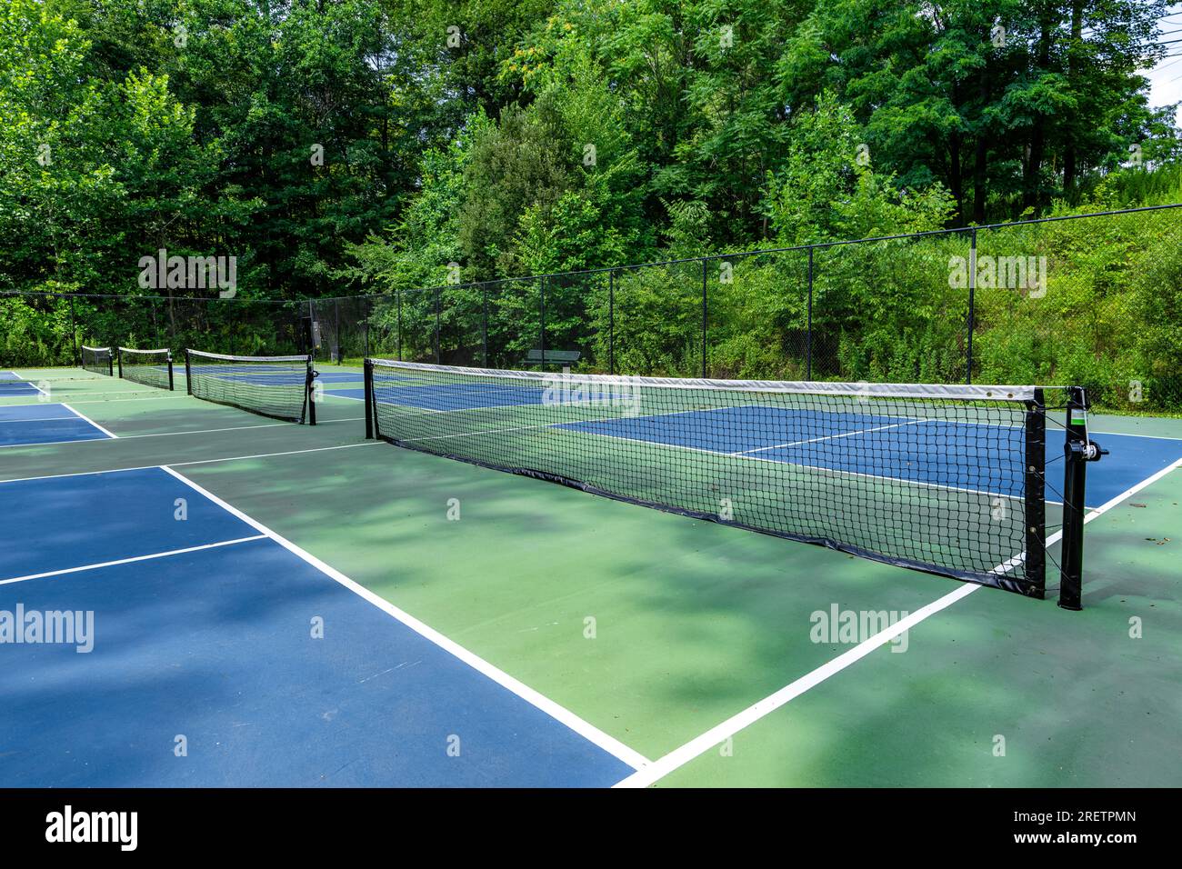 Example image of an empty pickleball court with multi-color surface and ...