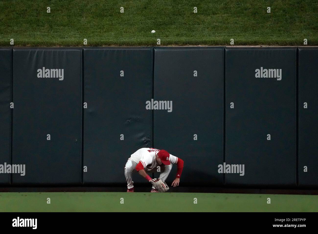 St. Louis Cardinals center fielder Dylan Carlson lands after leaping ...