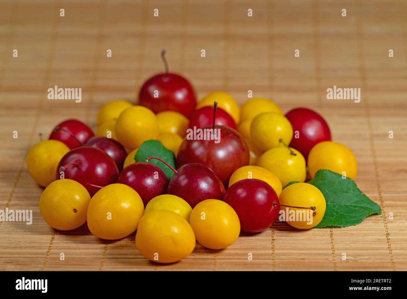 Yellow and red cherry plums, Prunus cerasifera Stock Photo - Alamy