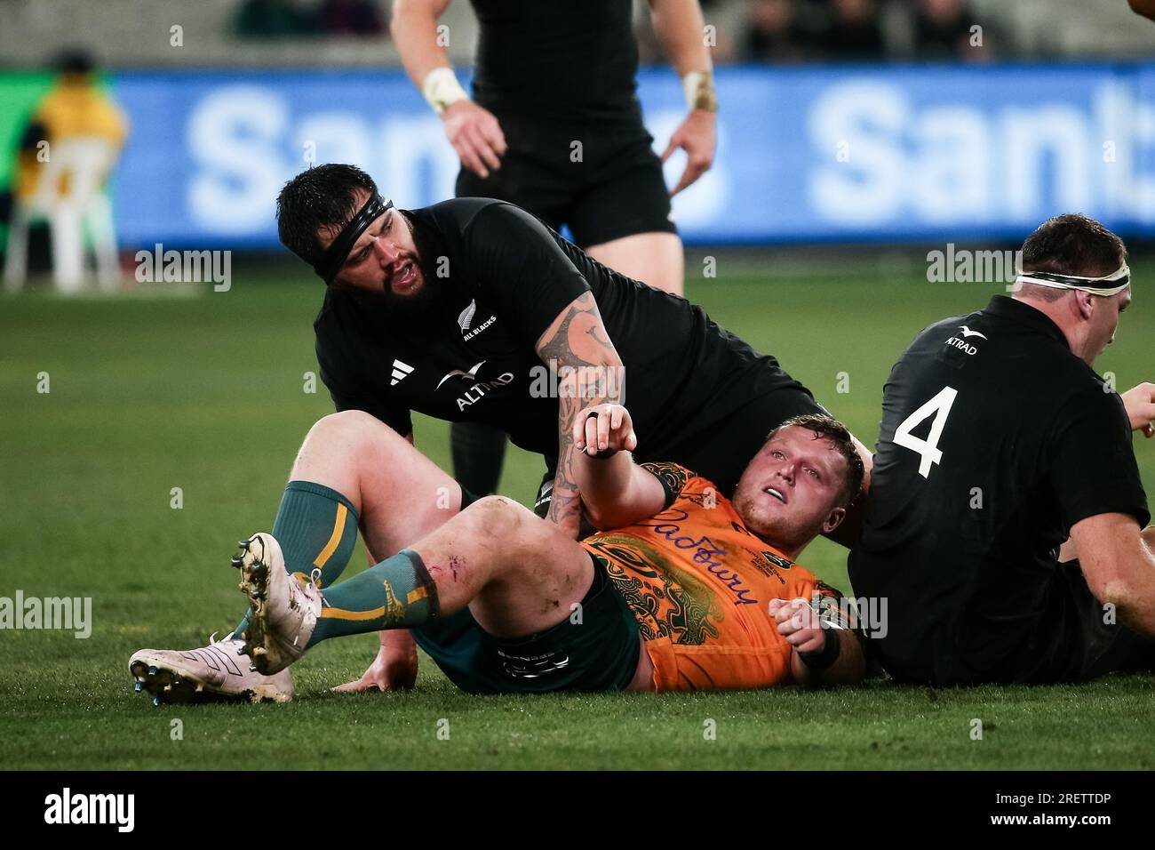 Angus bell rugby wallabies hi-res stock photography and images - Alamy