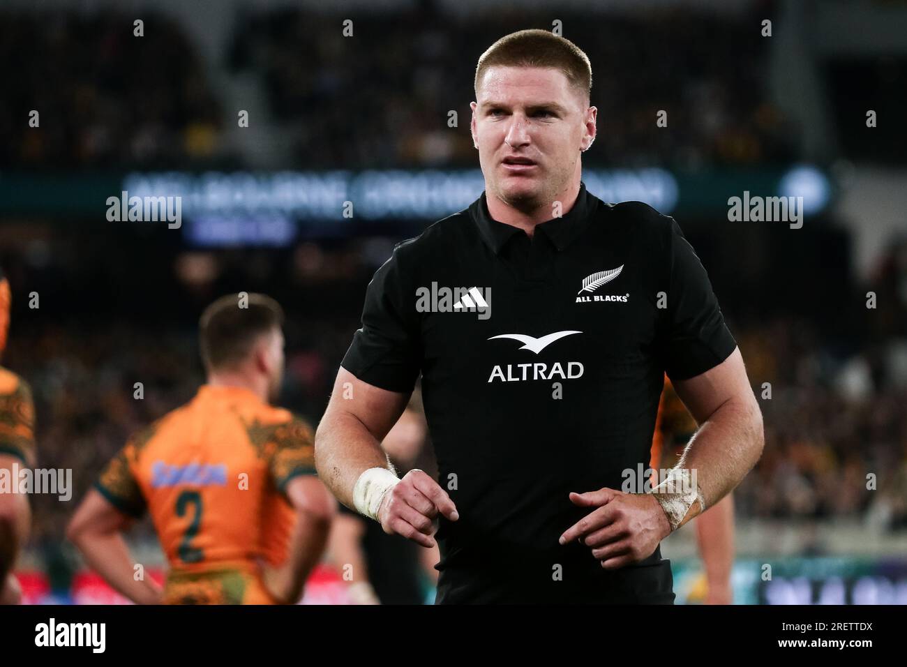 Mark telea new zealand hi-res stock photography and images - Alamy