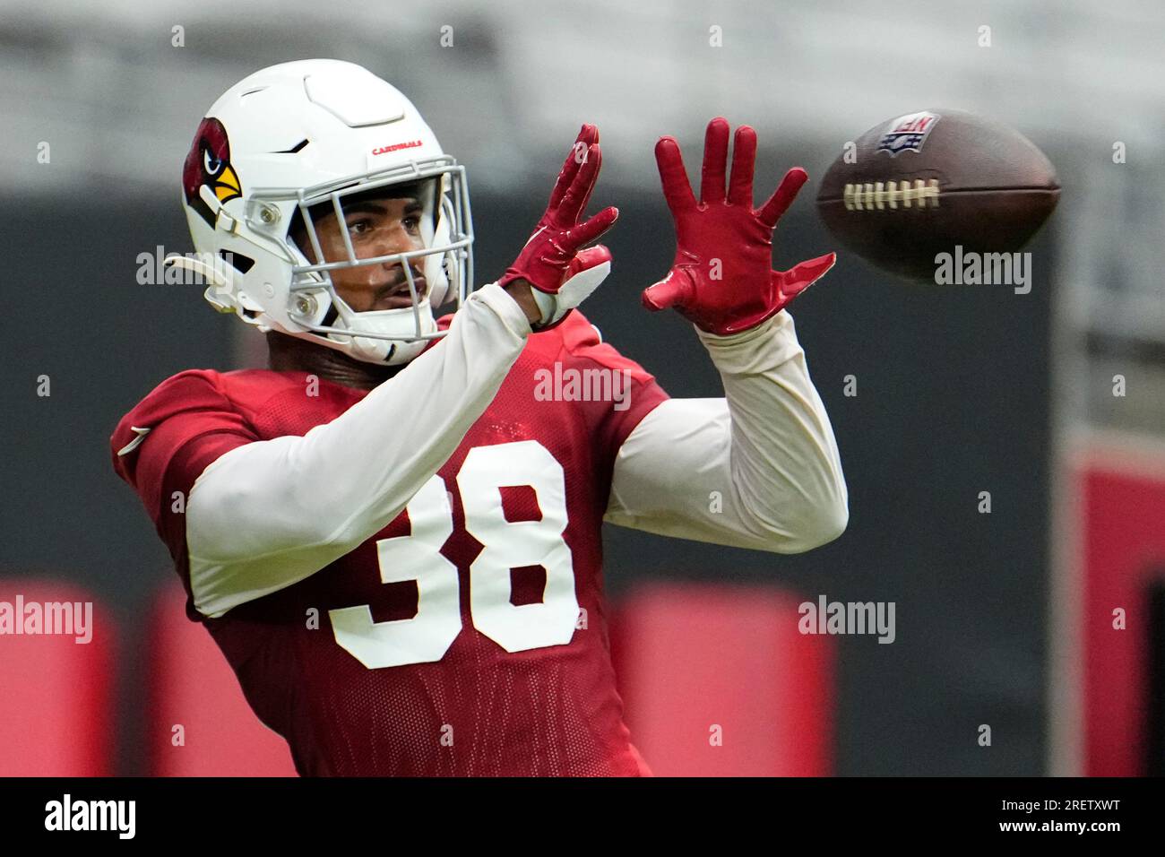 Arizona Cardinals wide receiver Brian Cobbs makes a catch during NFL ...