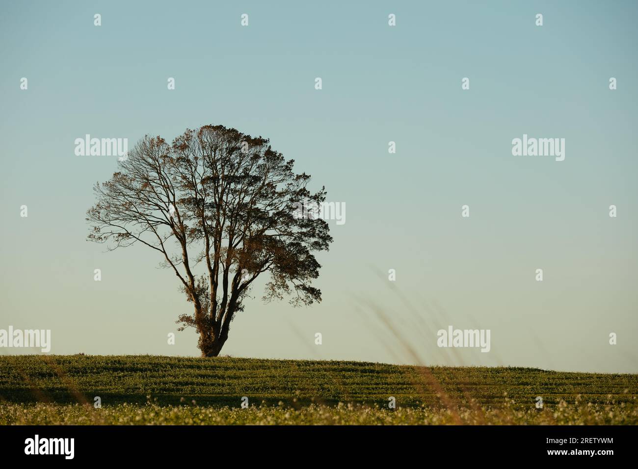 Denmark nature, countryside and environment. Nature in the Kingdom of ...