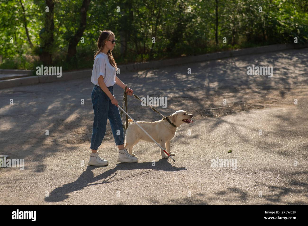 Blind woman walking with guide dog in the park Stock Photo - Alamy