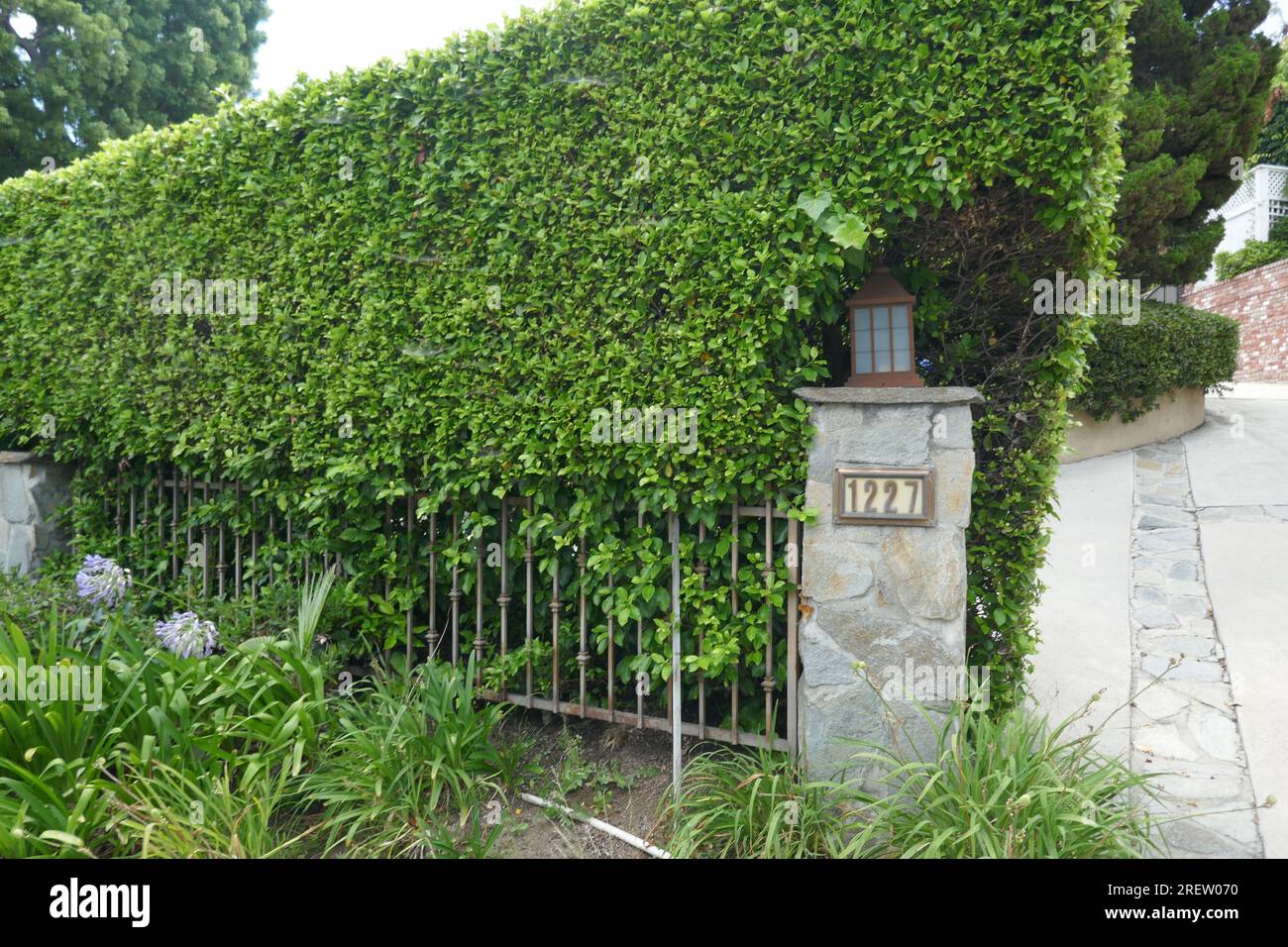 Los Angeles, California, USA 29th July 2023 Director Barry Glazer ...