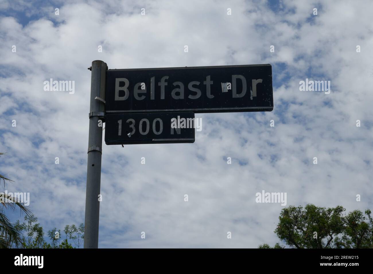 Los Angeles, California, USA 29th July 2023 Actress Susan Hayward's ...
