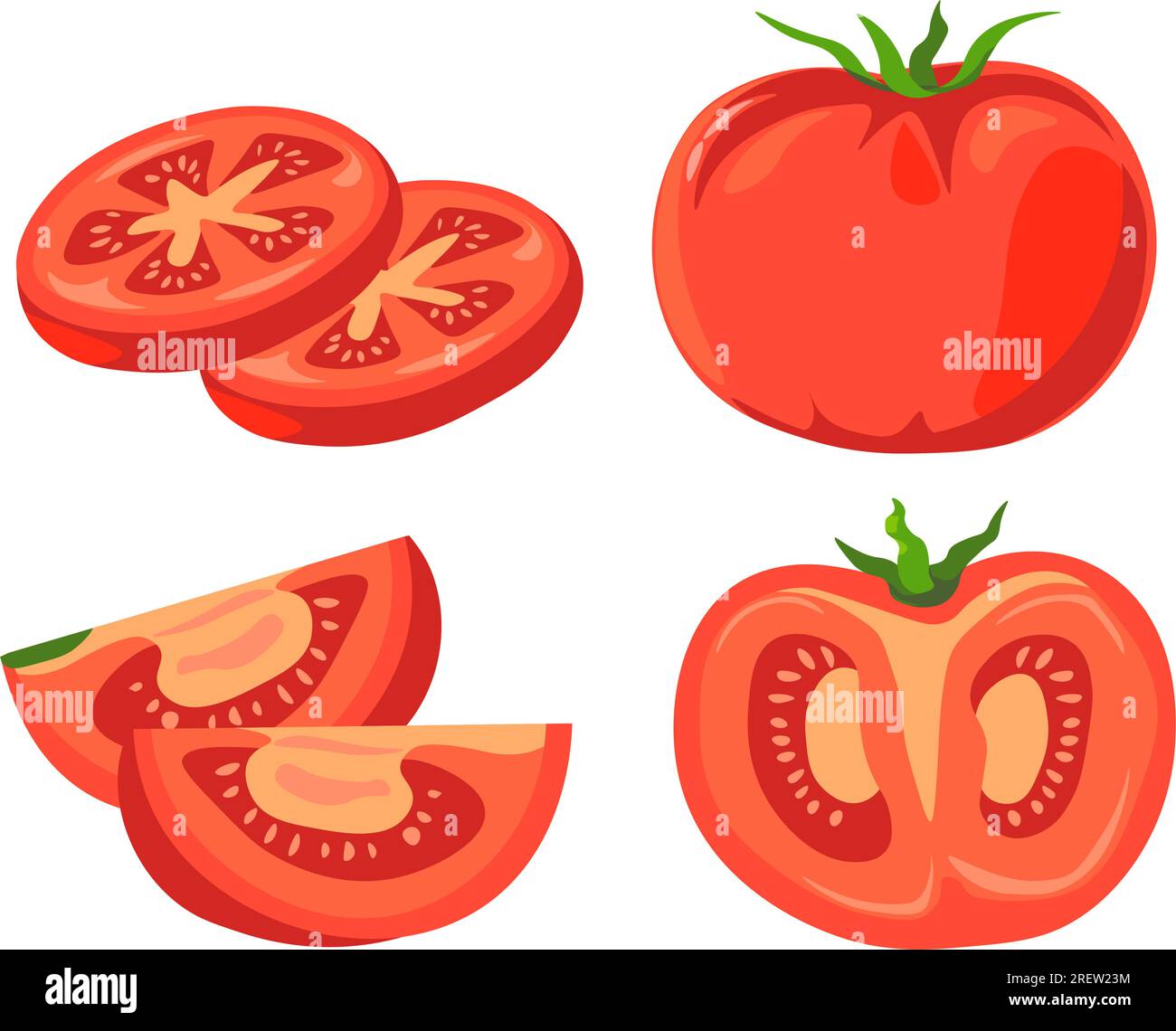 Organic ripe tomato sliced vegetable vector set Stock Vector Image ...