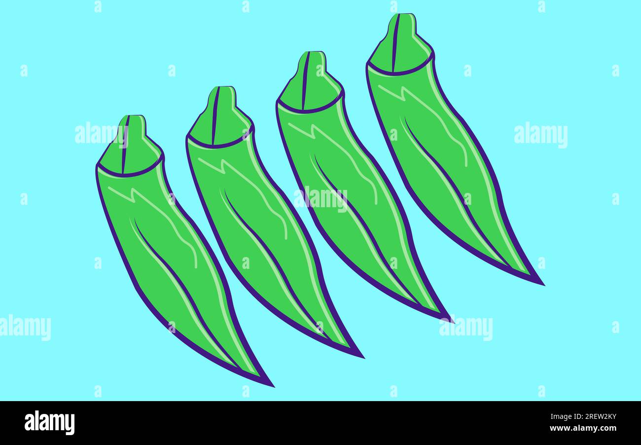 Okra vector cartoon illustration isolated on a white background Stock ...