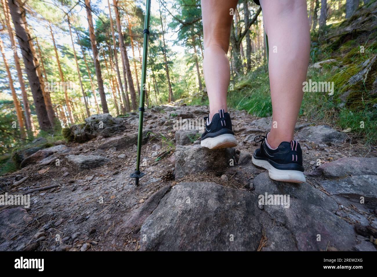 Women's legs walking along a forest path full of rocks and tree roots ...