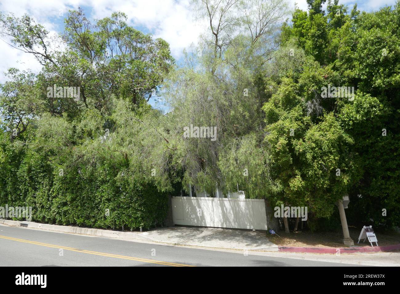 Los Angeles, California, USA 29th July 2023 Actress Susan Hayward's ...