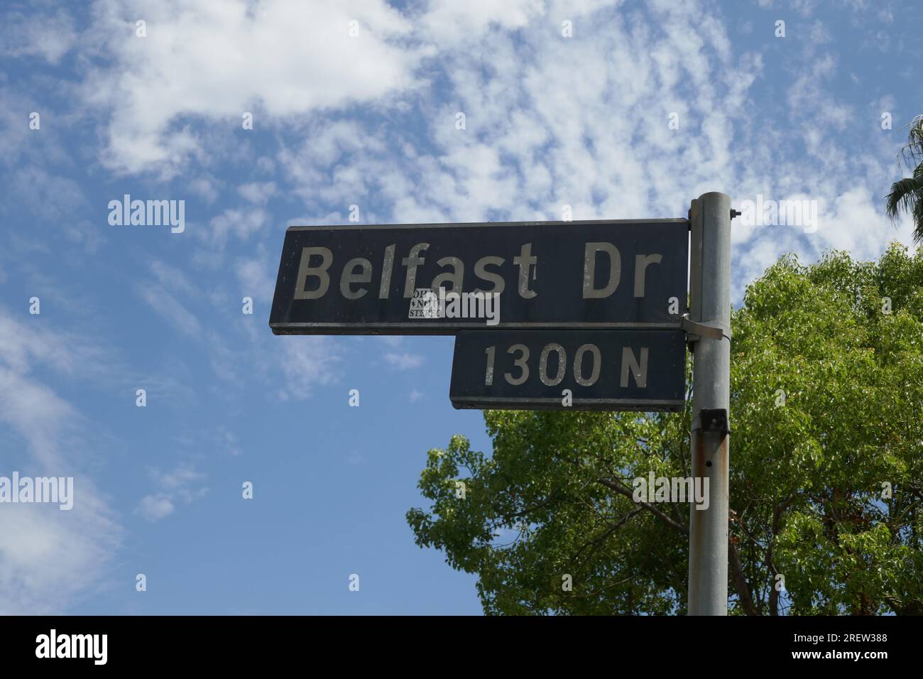 Los Angeles, California, USA 29th July 2023 Actress Susan Hayward's ...