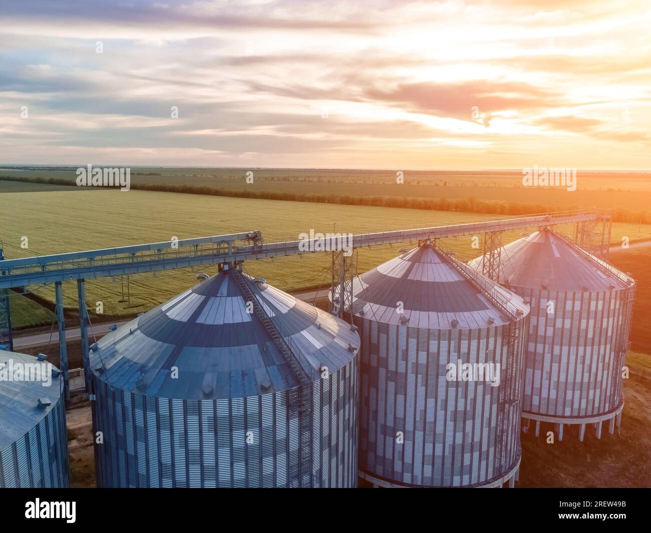 Grain silos on a green field background with warm sunset light. Grain ...