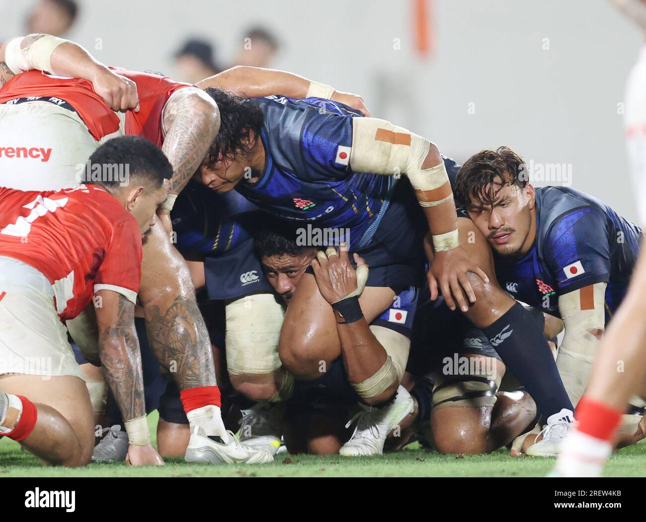 July rugby international series hi-res stock photography and images - Alamy