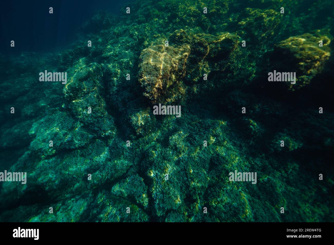 Formation of coral reefs hi-res stock photography and images - Alamy