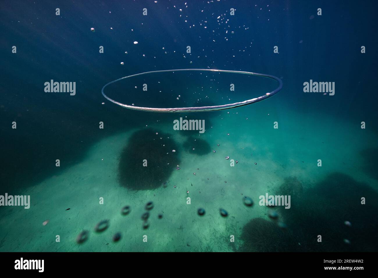 Ring shaped toroidal bubble floating underwater of clear blue sea near ...