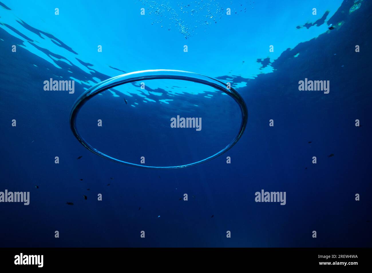Low angle of large vortex ring and bubbles floating under clear water ...